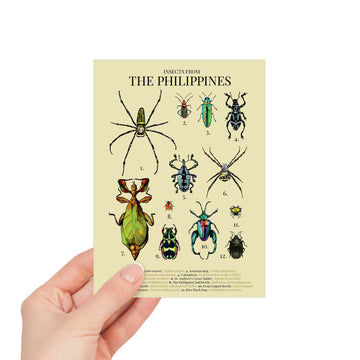 Philippines postcard: Buy Philippine Postcards for postcrossing online ...