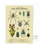 Philippines postcard: Buy Philippine Postcards for postcrossing online ...