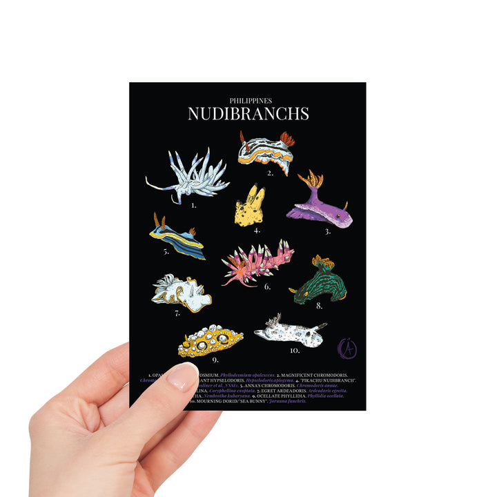 Philippines postcard: Buy Philippine Postcards for postcrossing online ...