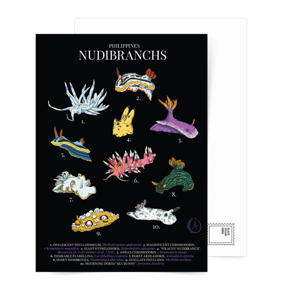 Philippines postcard: Buy Philippine Postcards for postcrossing online ...