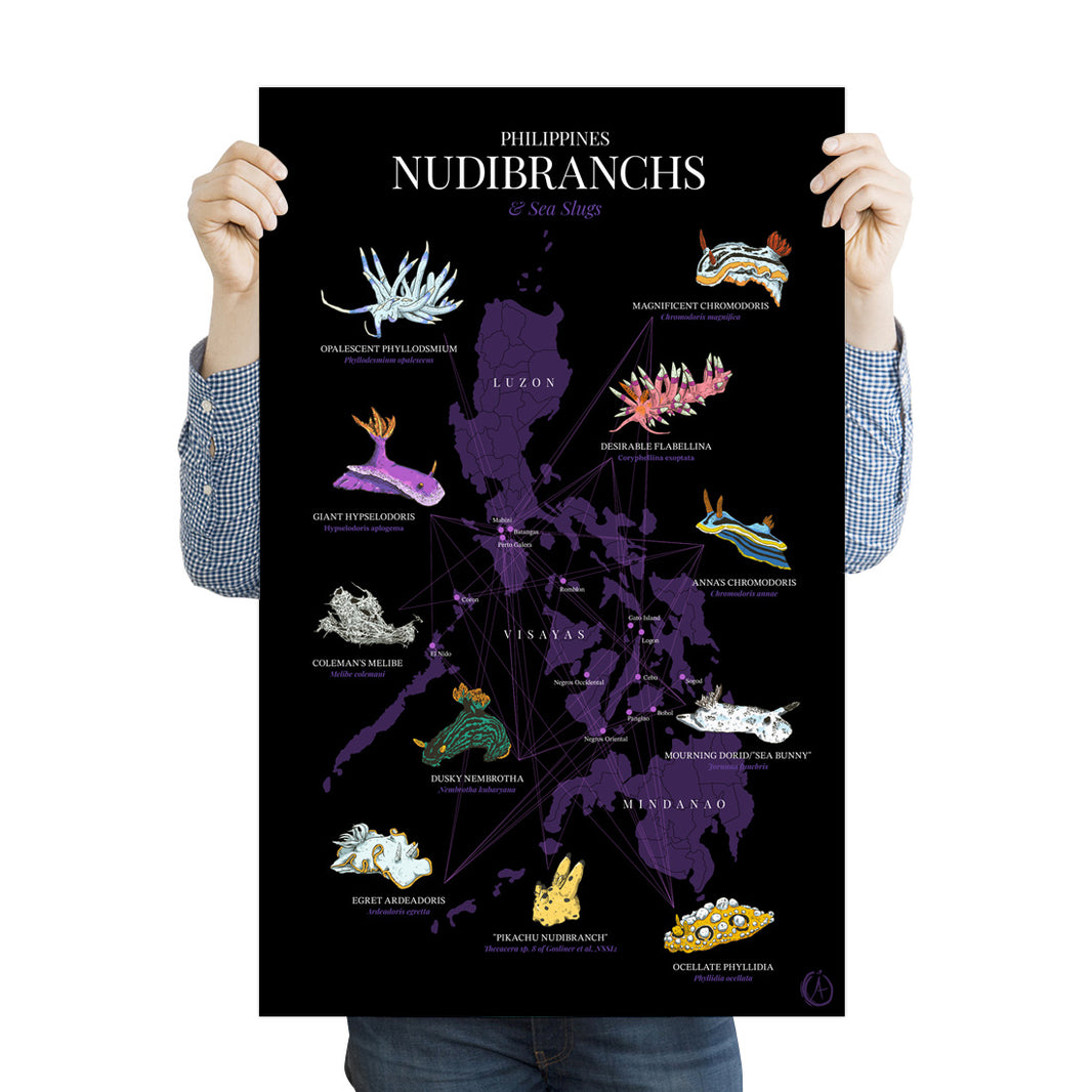 Filipino Art Posters and Travel Posters: buy Filipino Posters Online ...