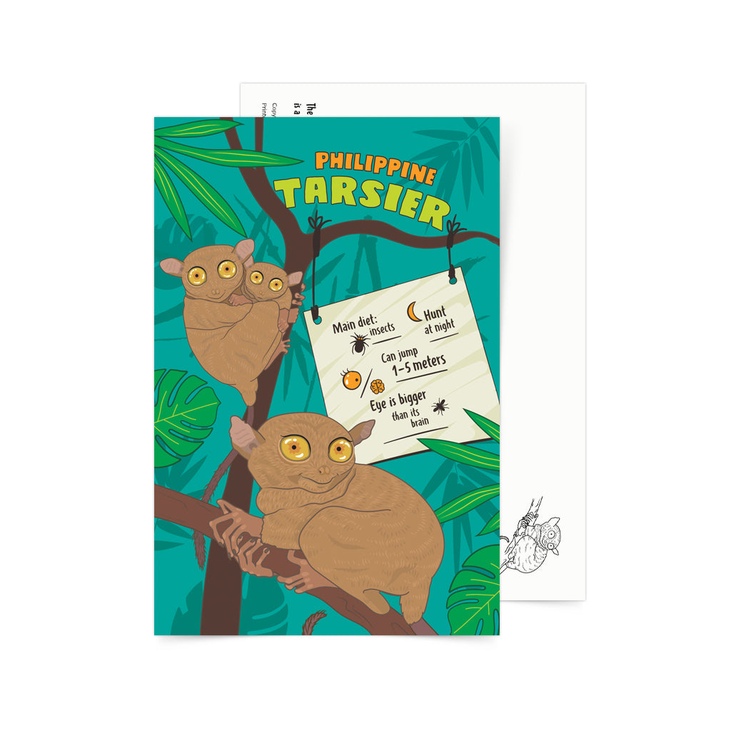Facts About Philippine Tarsiers Postcard – Pinspired Art Souvenirs